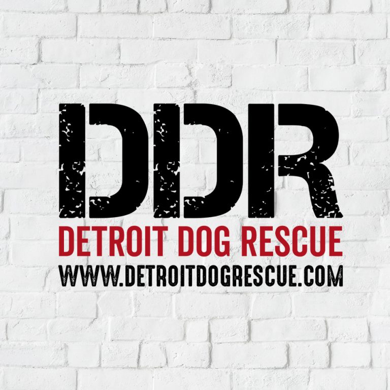 Faces & Places: Shir Shalom Religious School Celebrates Year of ...