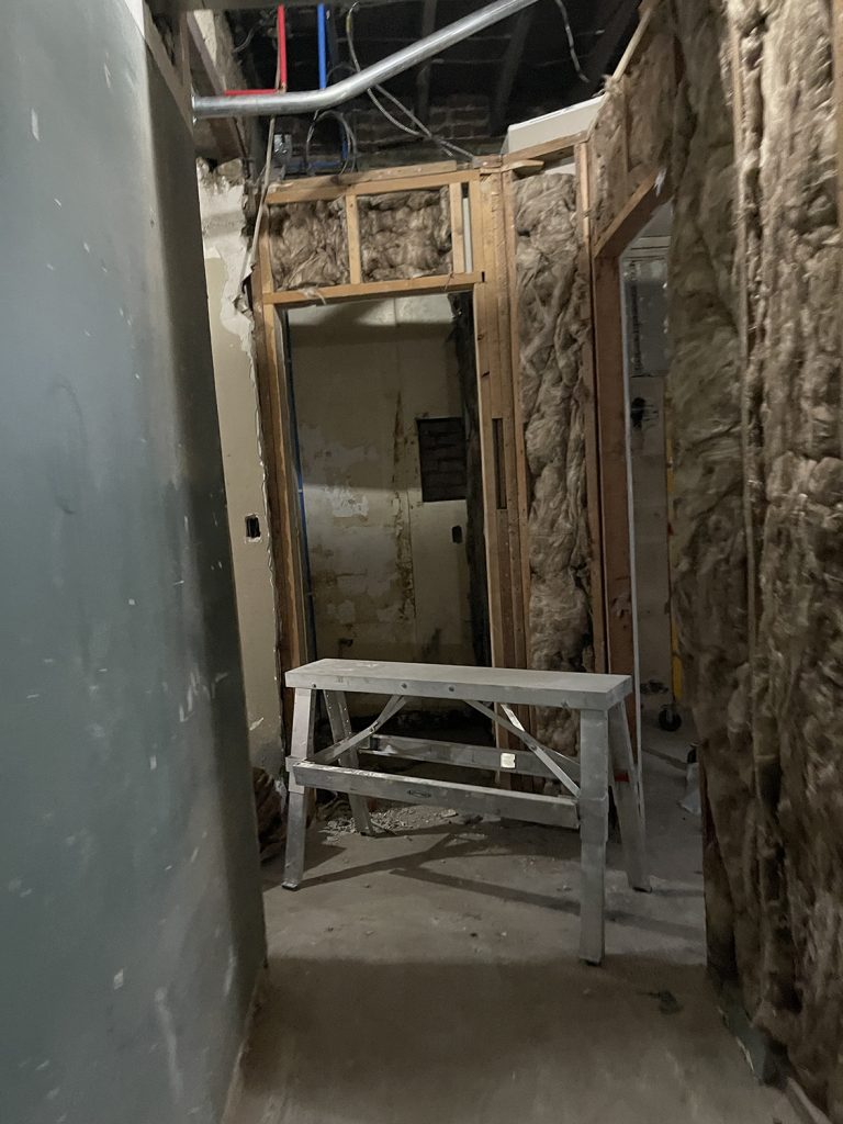 Detroit Dog Rescue - Detroit's First No-Kill Shelter - Adopt a Detroit Dog