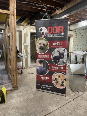 Detroit Dog Rescue - Detroit's First No-Kill Shelter - Adopt a Detroit Dog