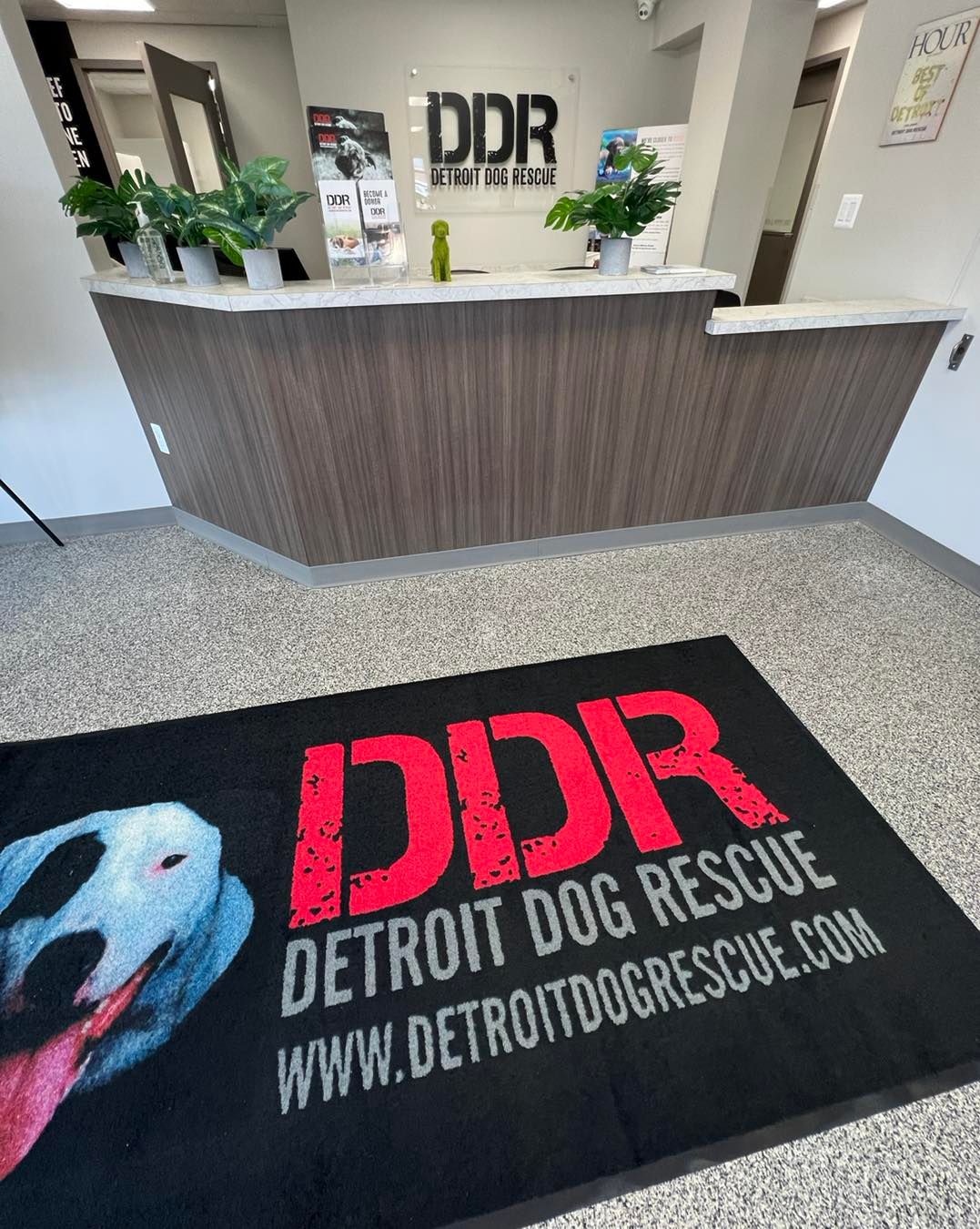 Big News! – Detroit Dog Rescue